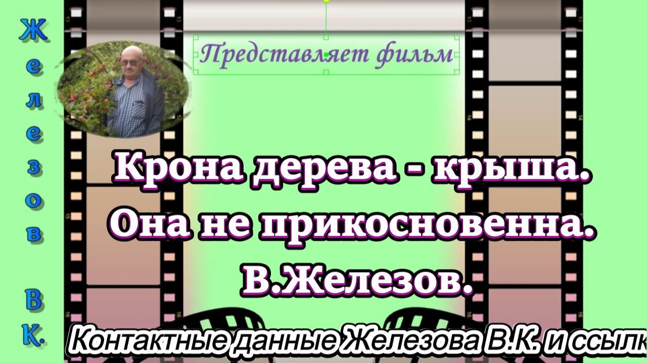 Крона дерева - крыша. Она не прикосновенна. В.Железов.