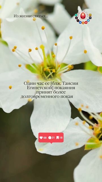 Чудесное покаяние блаженной...