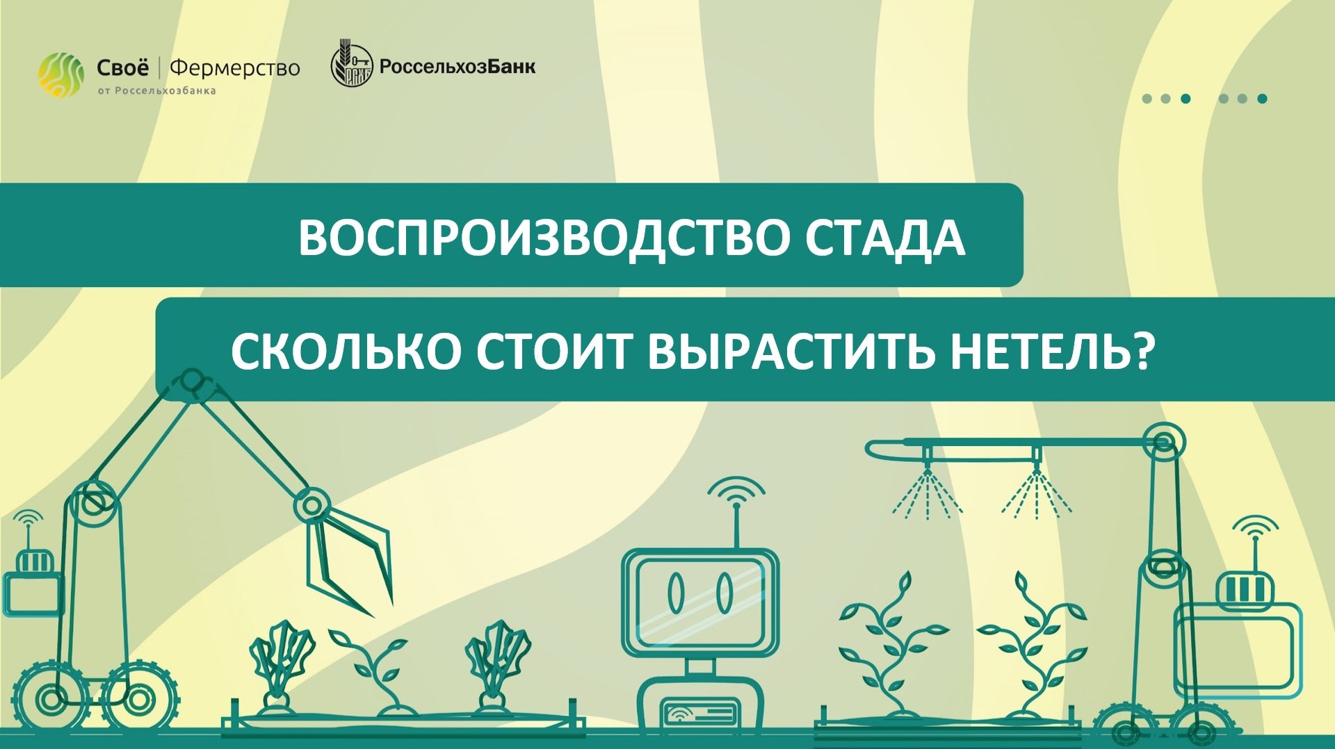 Воспроизводство стада: сколько стоит вырастить нетель?