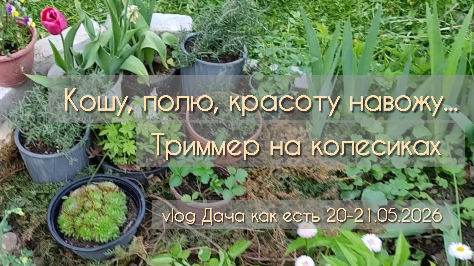 Кошу, полю, красоту навожу. Огород от слова городить / vlog Дача как есть 20-21.05.2026