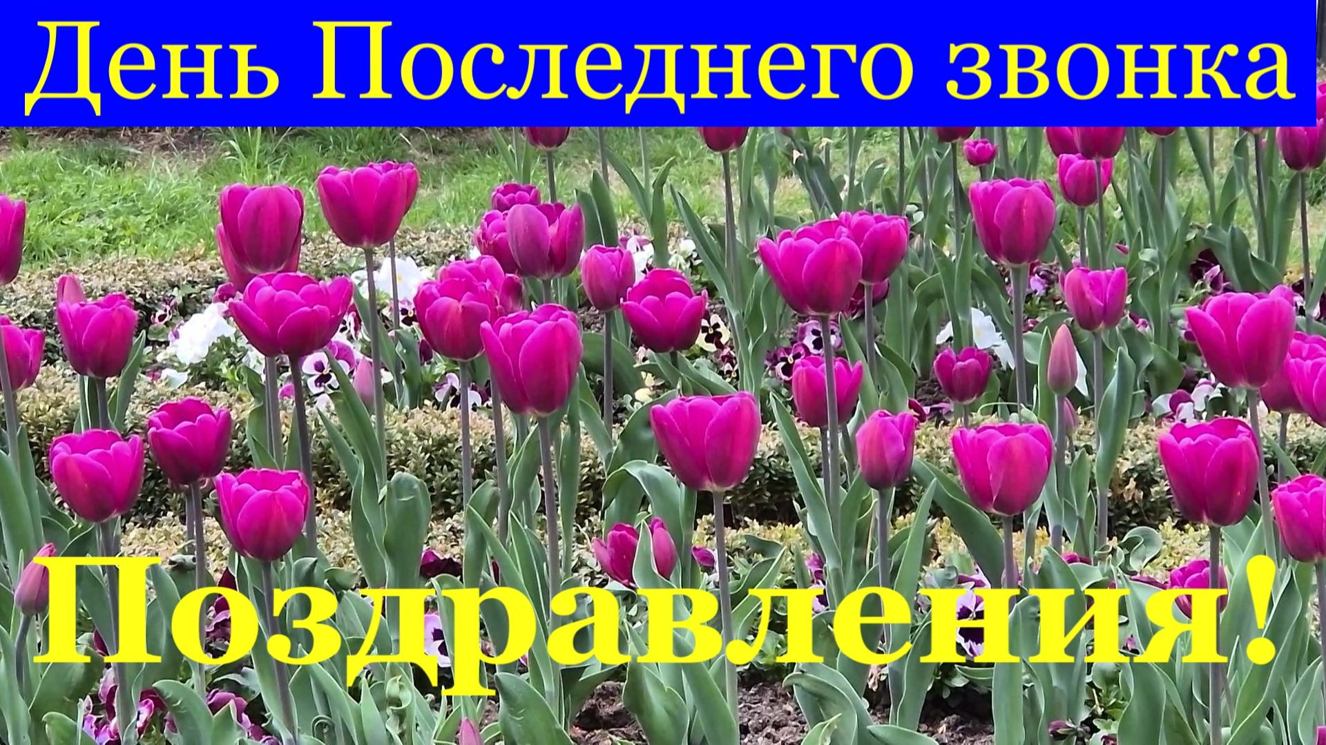 Поздравление в День Последнего звонка Классному руководителю поздравления!