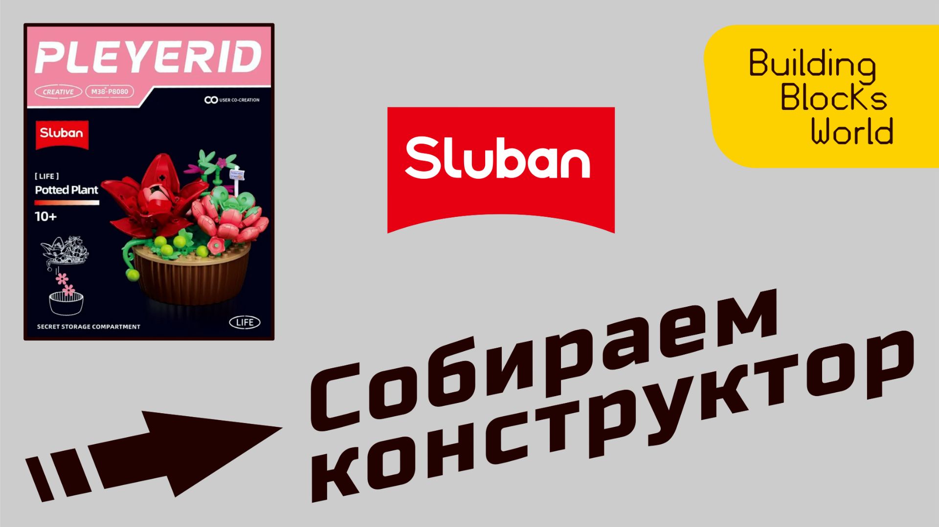 Сборка конструктора "Sluban" серия "PLEYERID" (M38-P8080) Potted plant (Суккуленты)