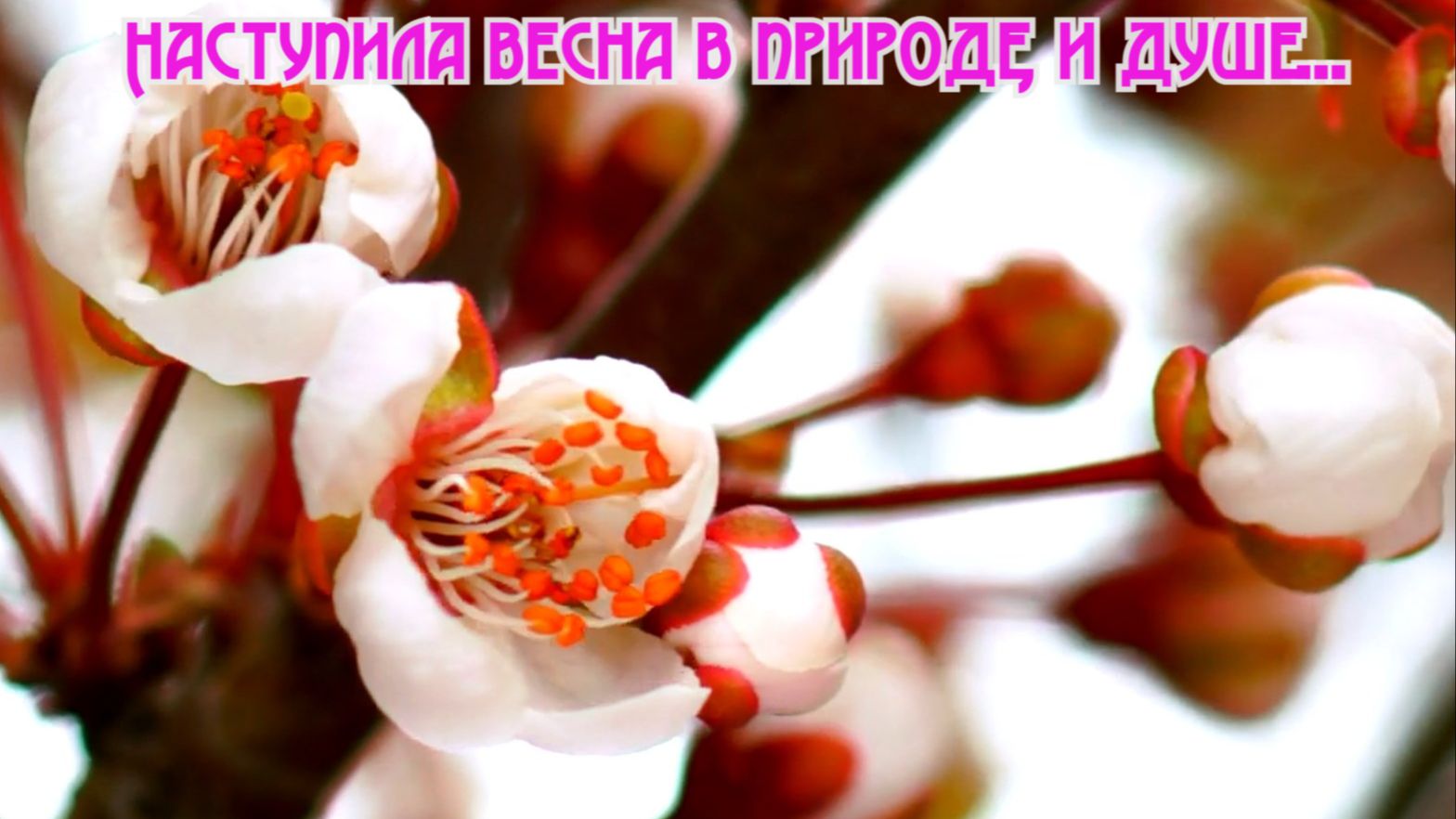 Наступила весна в природе, и душе... Премьера трека!