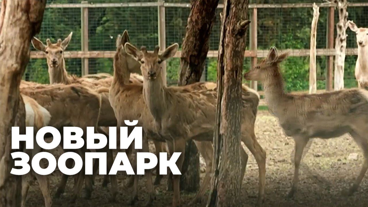 В столице Грузии откроется новый зоопарк
