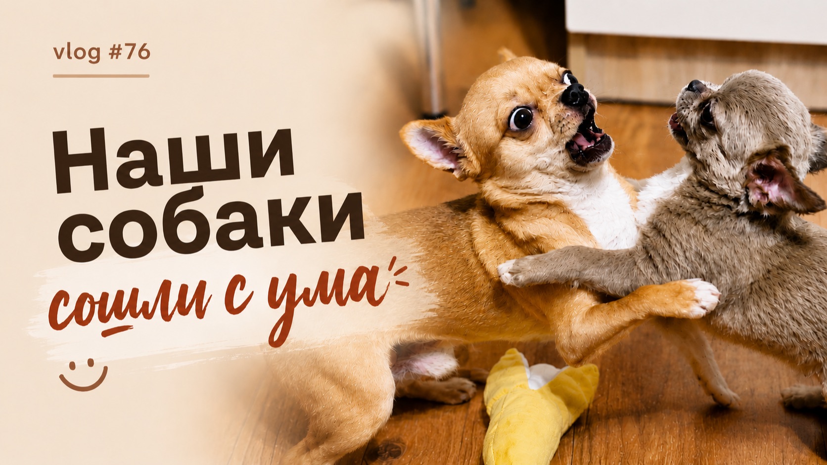 Влог №76. Наши собаки сошли с ума. 7-9 января 2025.