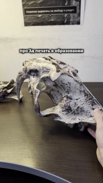 3D печать древнего хищника. Как мы создали череп саблезубой кошки на Bambu Lab