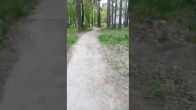вечерний стрим