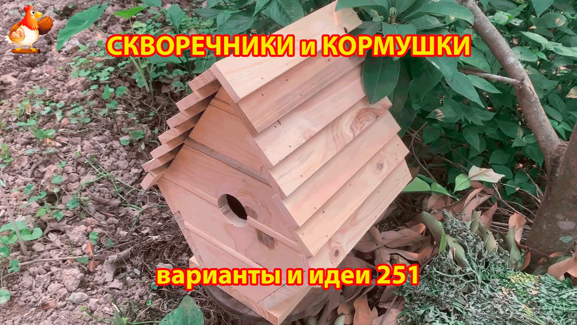Скворечники и кормушки своими руками для птиц (251) 🪚🪛🔨 Идеи для дачи и сада пошагово ❣️