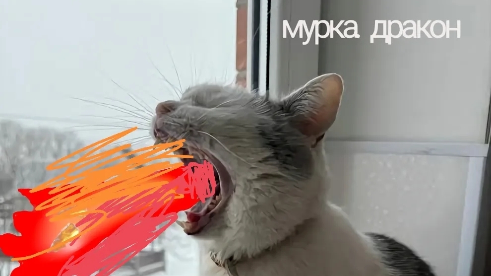 блины 🫪 хе и напитки