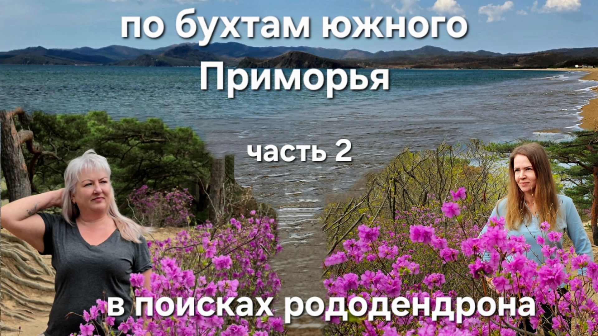 п.Андреевка, Витязь, бухта Теляковского. Рододендрон Шлиппенбаха найден!)