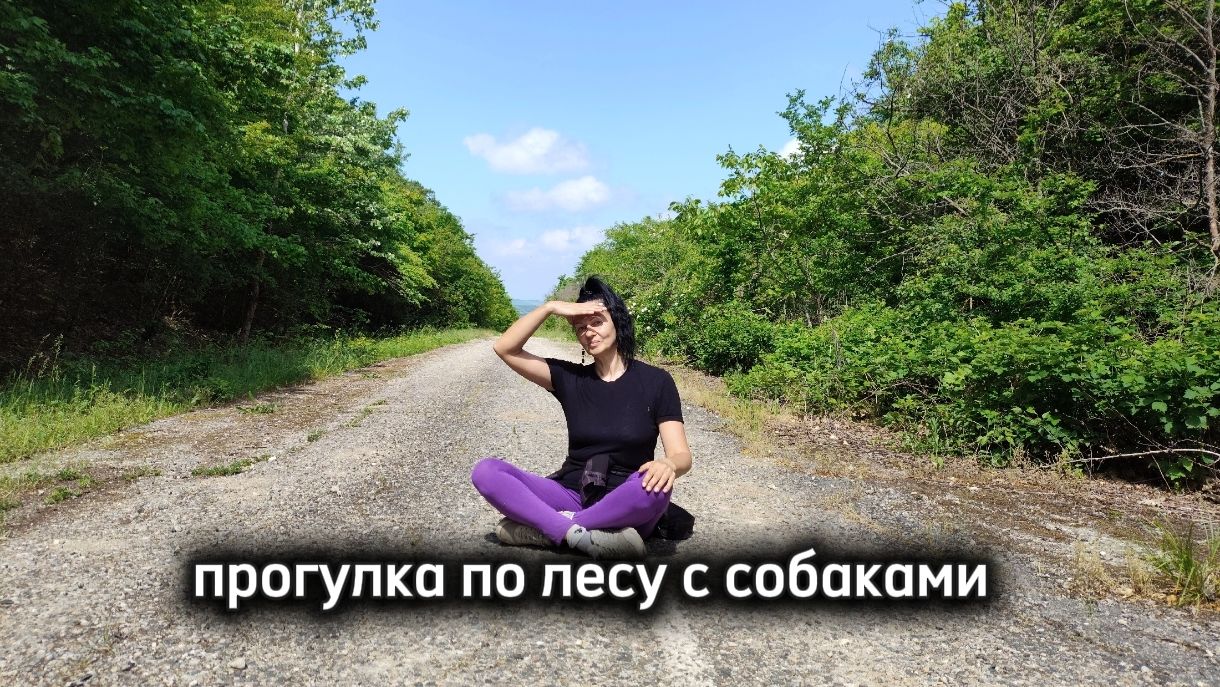 ВАУ! Пение птиц в южном лесу, собаки устали