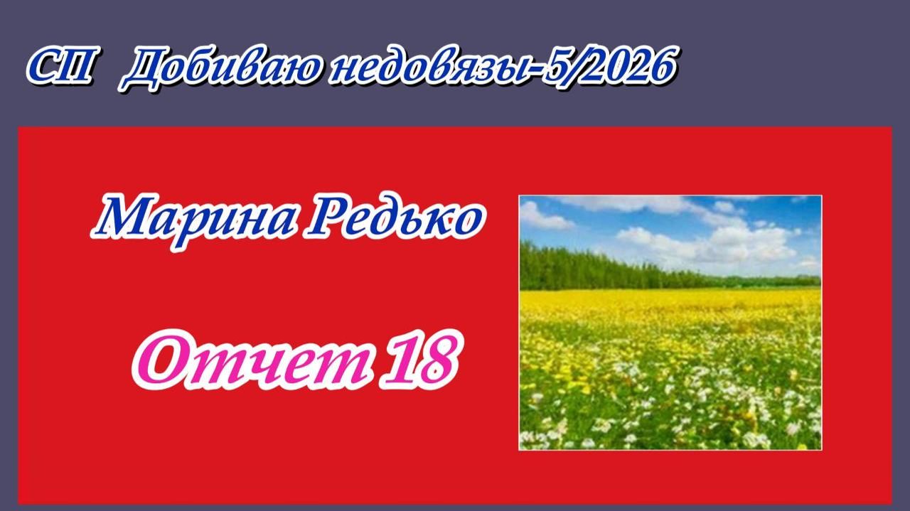 СП "Добиваю недовязы-5/2026" / Отчет 18