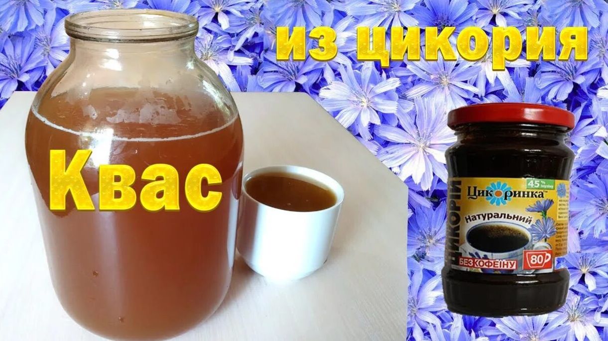 Самый вкусный квас из цикория!!!