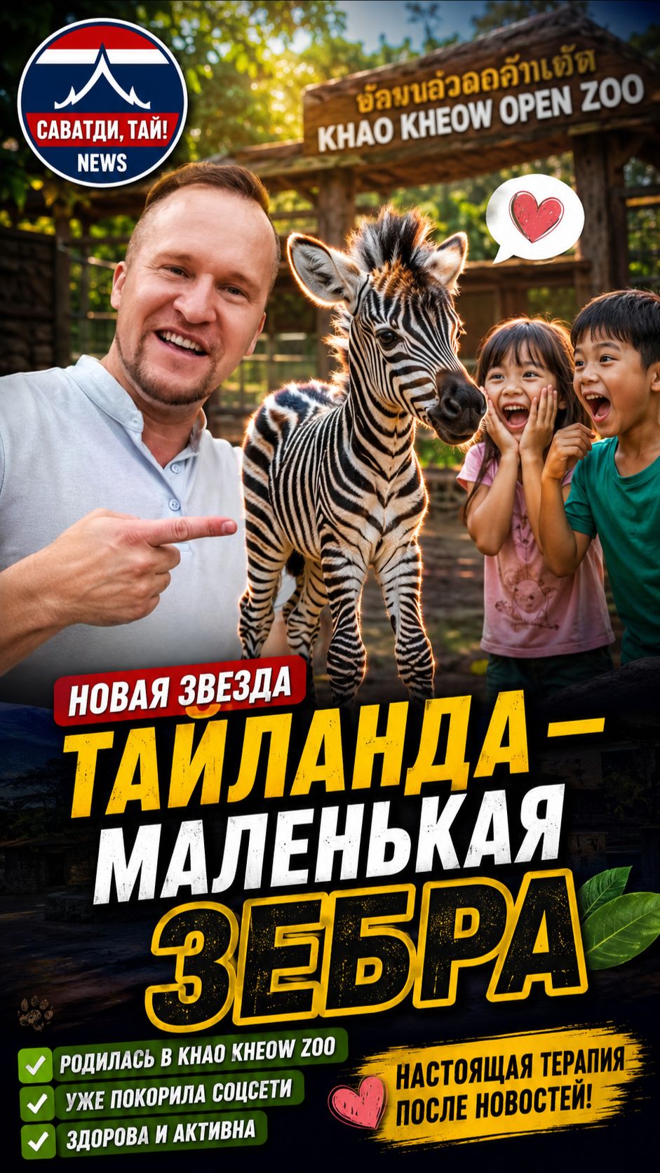 НОВАЯ ЗВЕЗДА ТАИЛАНДА — МАЛЕНЬКАЯ ЗЕБРА #новости #news #новостисегодня