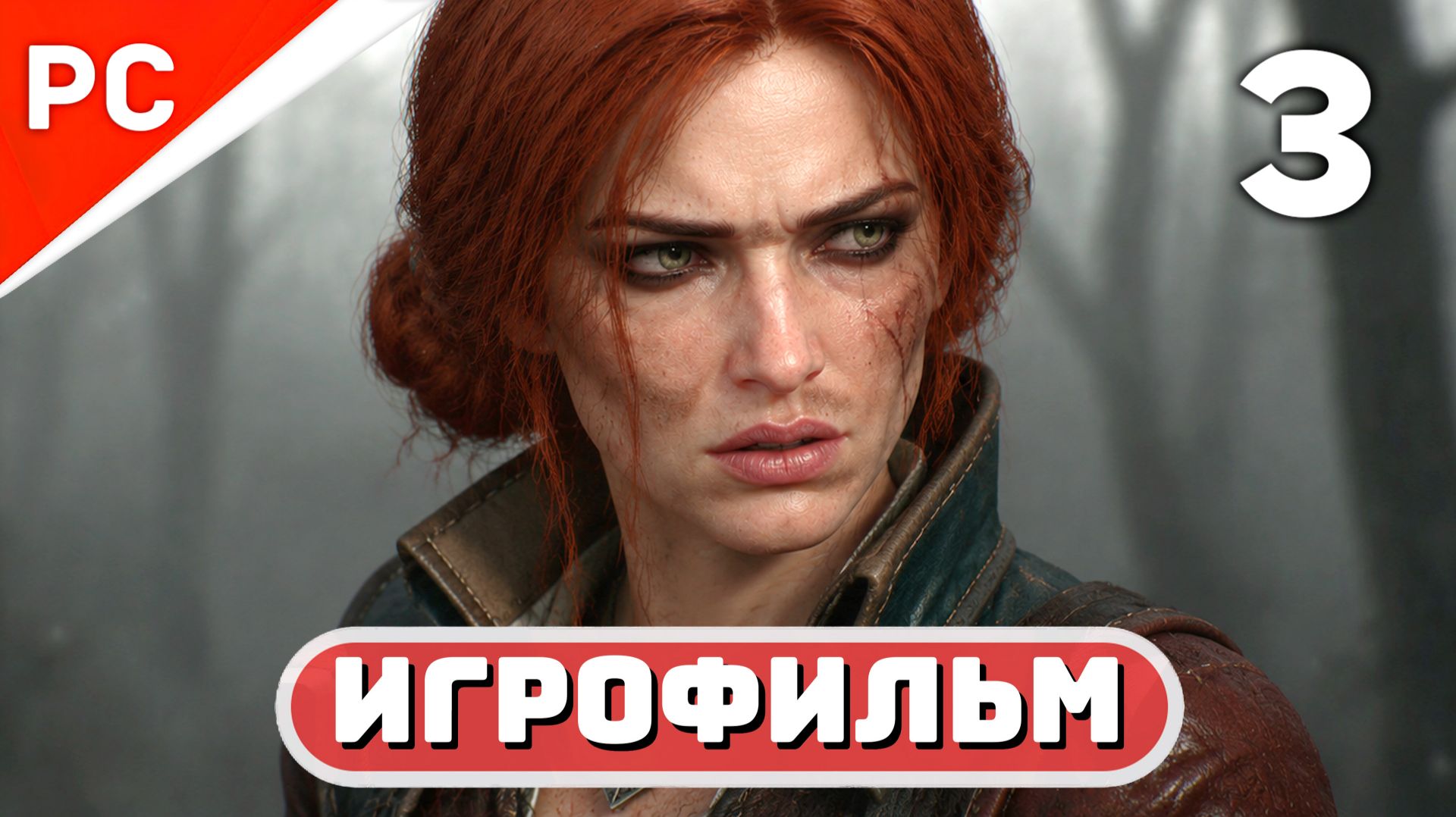 Ведьмак 3: Дикая Охота ✪ Игрофильм | Русская Озвучка | Часть 3 | The Witcher 3: Wild Hunt
