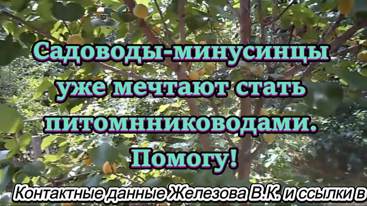 Садоводы-минусинцы уже мечтают стать питомнниководами. помогу!