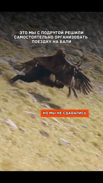 49 секунд, которые объяснят, почему люди берут туры на Бали
