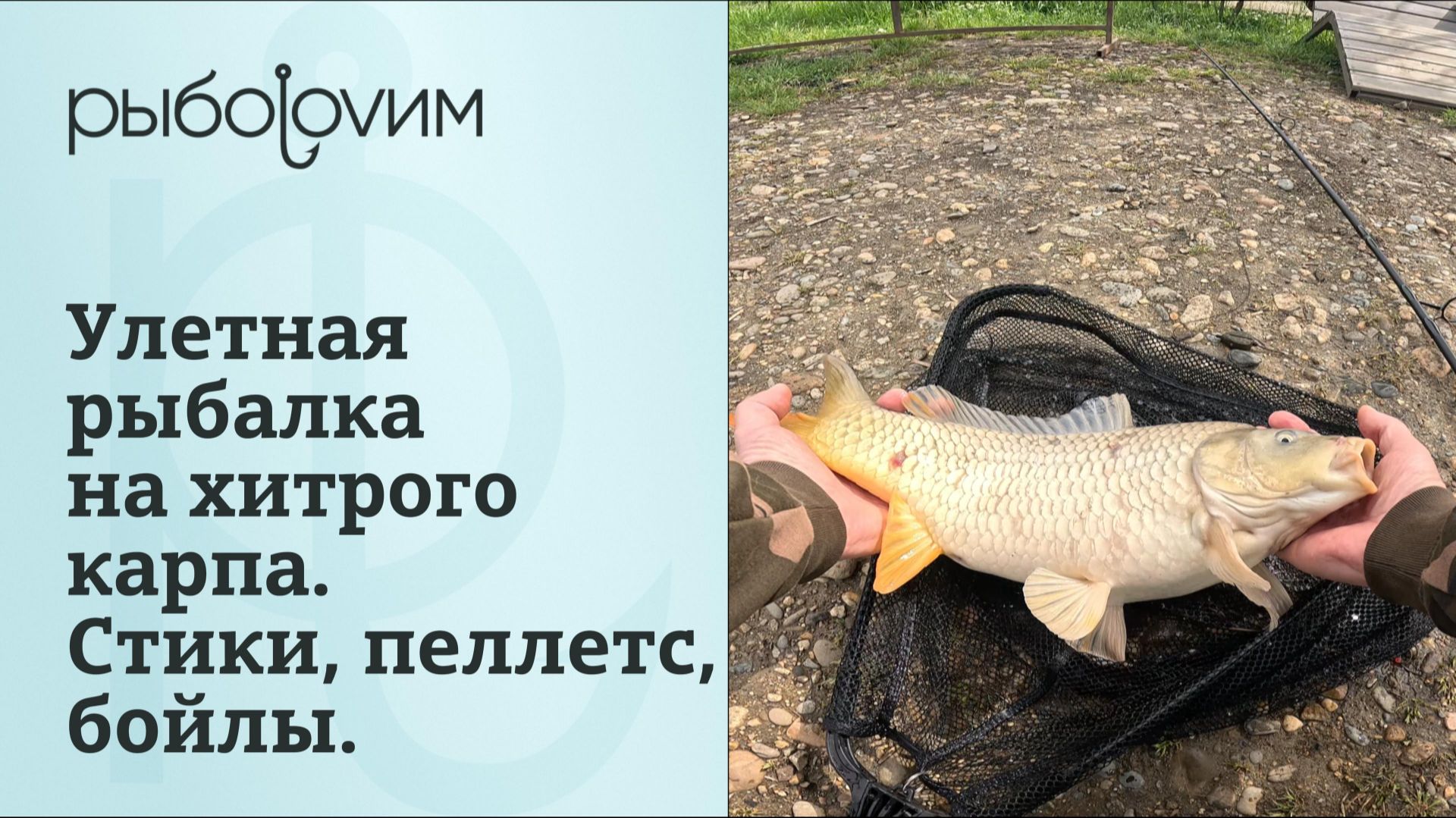 Весенняя рыбалка на карпа 2026.