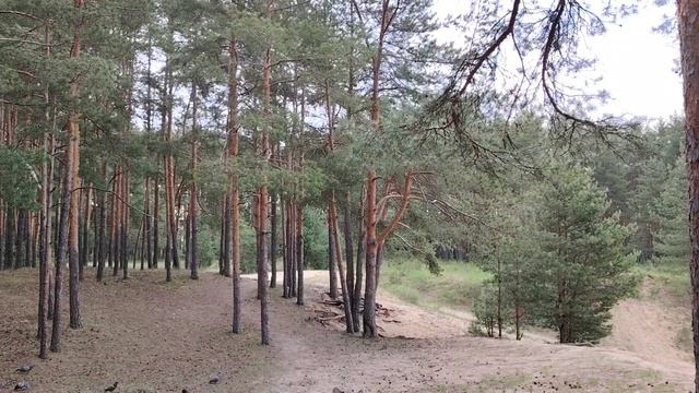 Трудовые династии в работе  по найму в организации. Сложности в их формировании