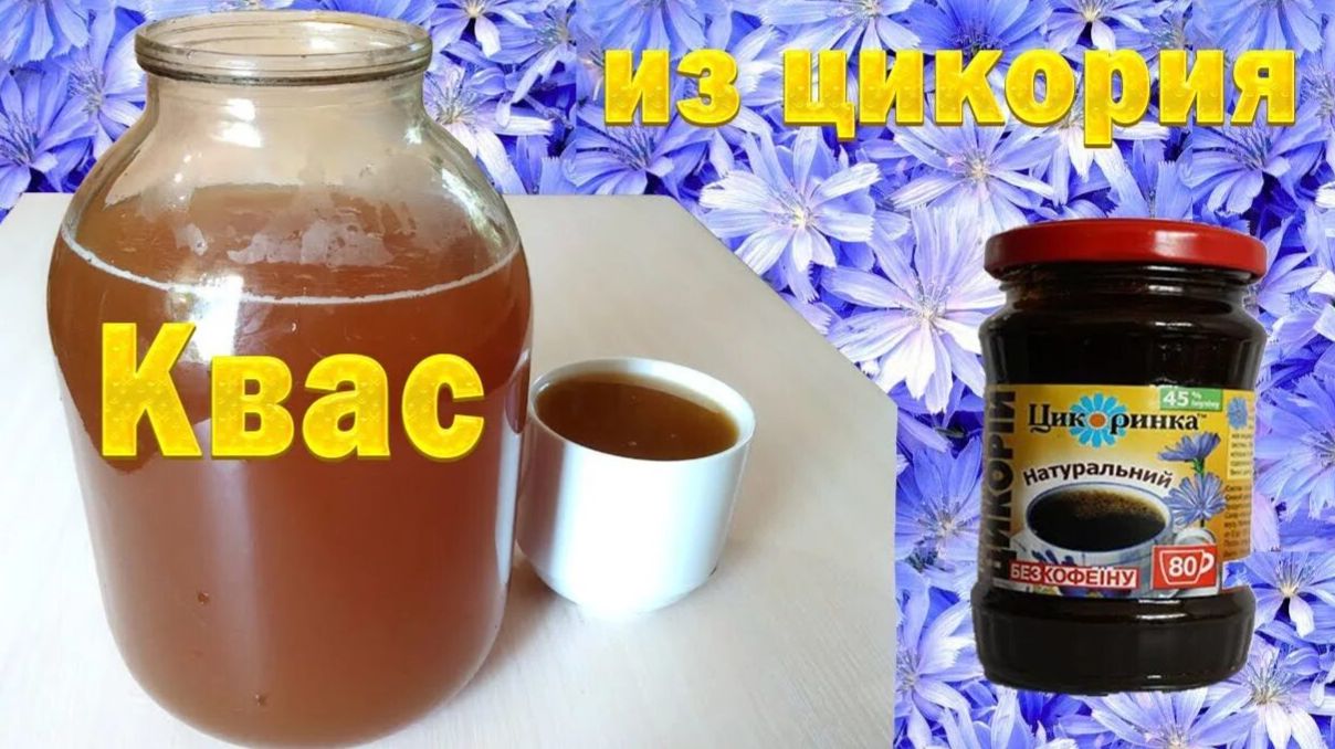 Очень вкусный квас на цикории. Самый простой рецепт