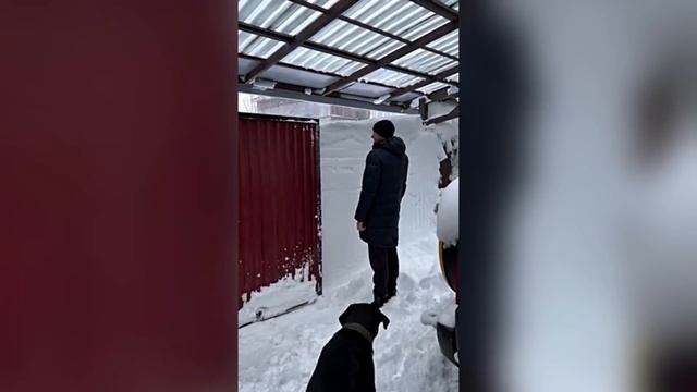 САМЫЕ ЛУЧШИЕ ПРИКОЛЫ 2026 Я РЖАЛ ДО СЛЕЗ 😂 27 Минут Русских ПРИКОЛОВ  Смешные видео