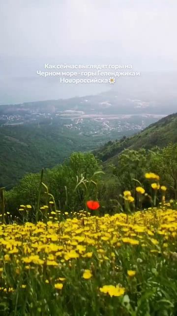 Горы май в Геленджике