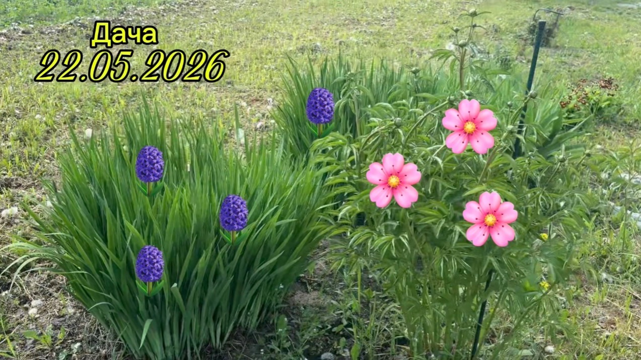 ДАЧА 22 МАЯ 2026 Г