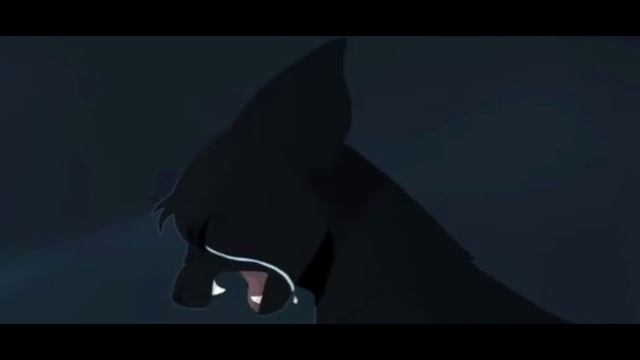 Otyken_-_My_Wing_Коты воители великое путешествие мап
