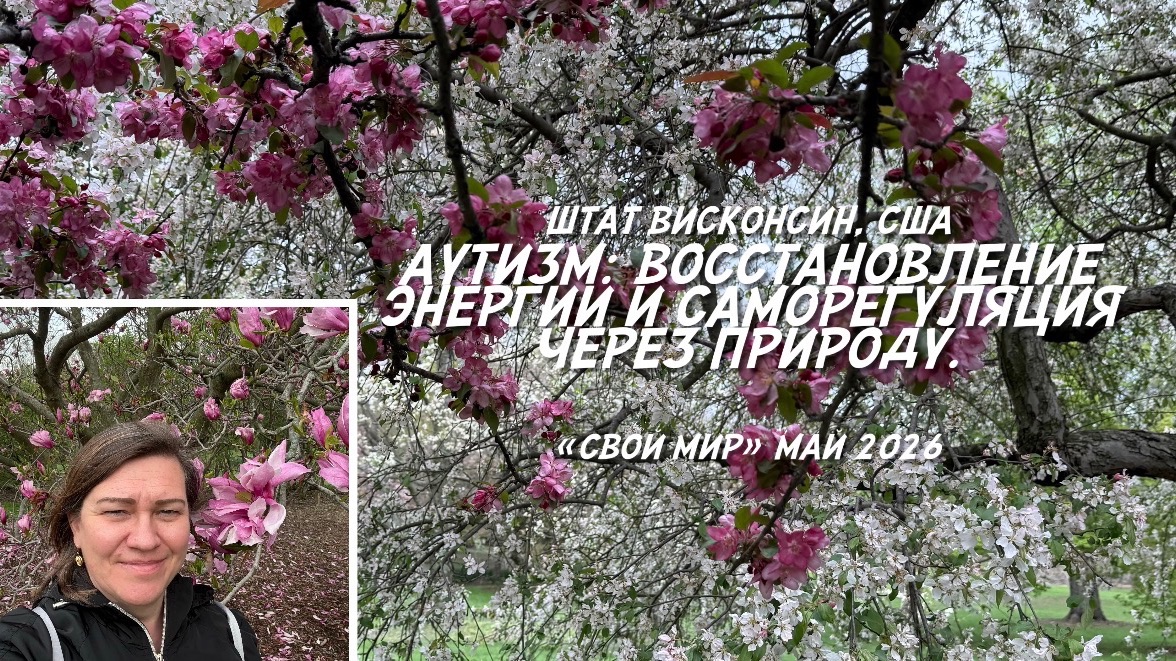 Аутизм: восстановление энергии и саморегуляция через природу