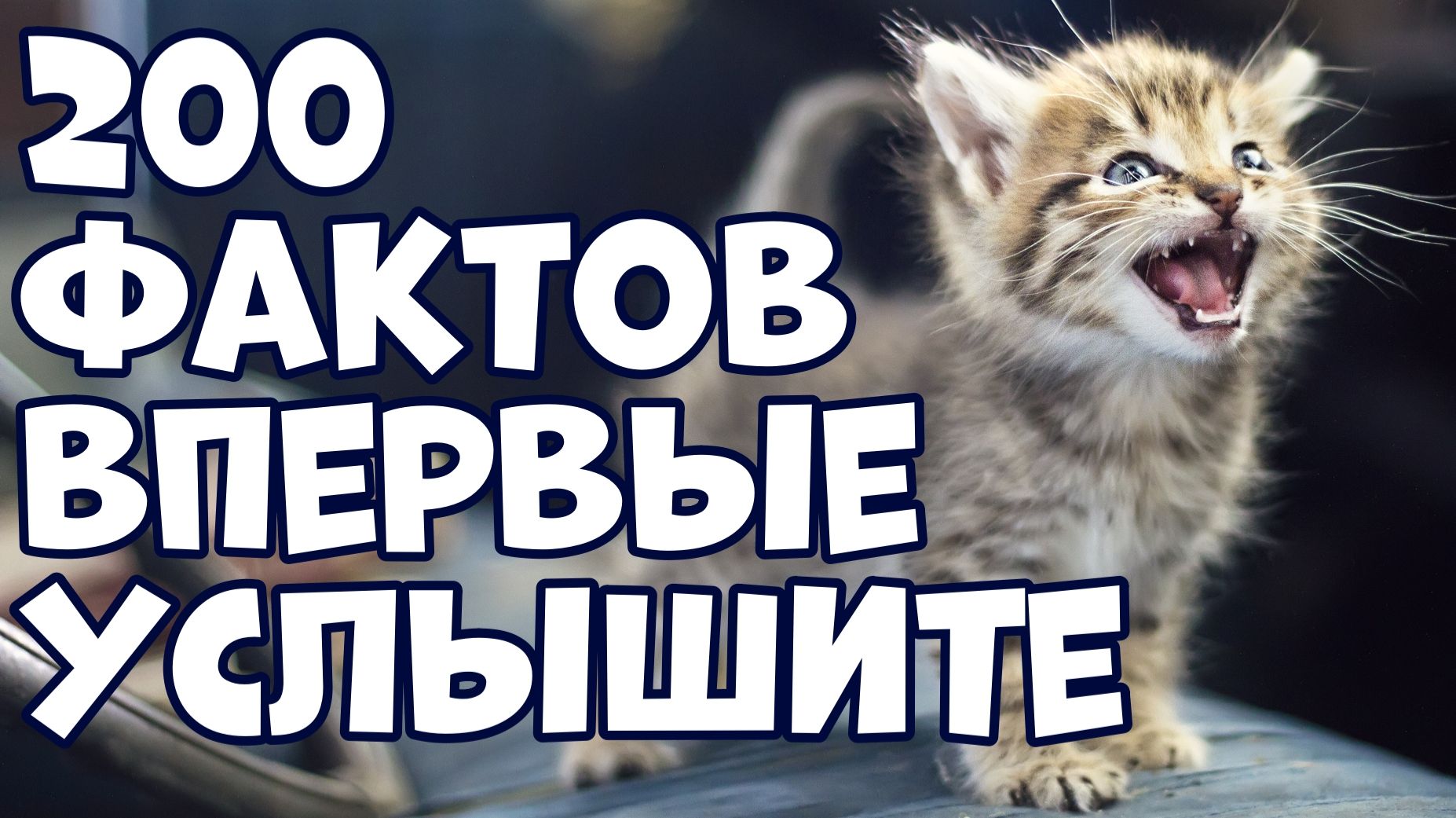 200 ШОКИРУЮЩИХ ФАКТОВ, КОТОРЫЕ ВЫ УСЛЫШИТЕ ВПЕРВЫЕ