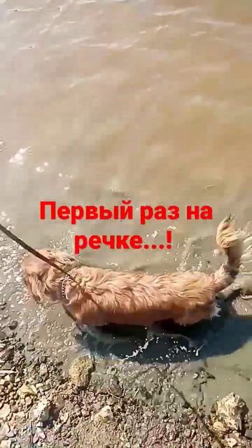 Первый раз на речке...!