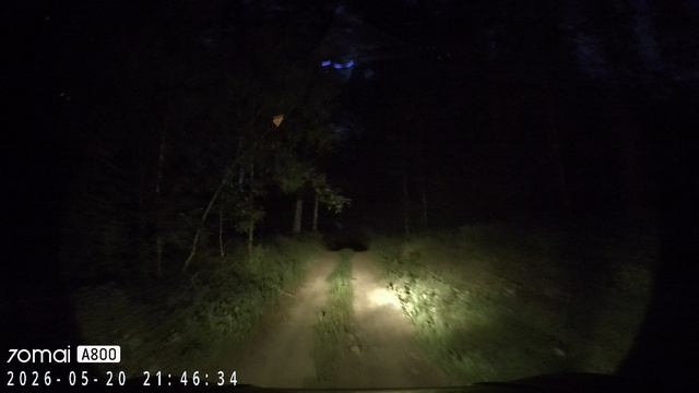 Горки в Рекшино