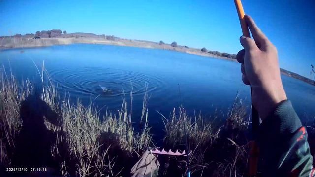 Не плохой Подлещик🎣