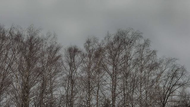 Классическая музыка | Фортепиано музыка | Современная классика музыка