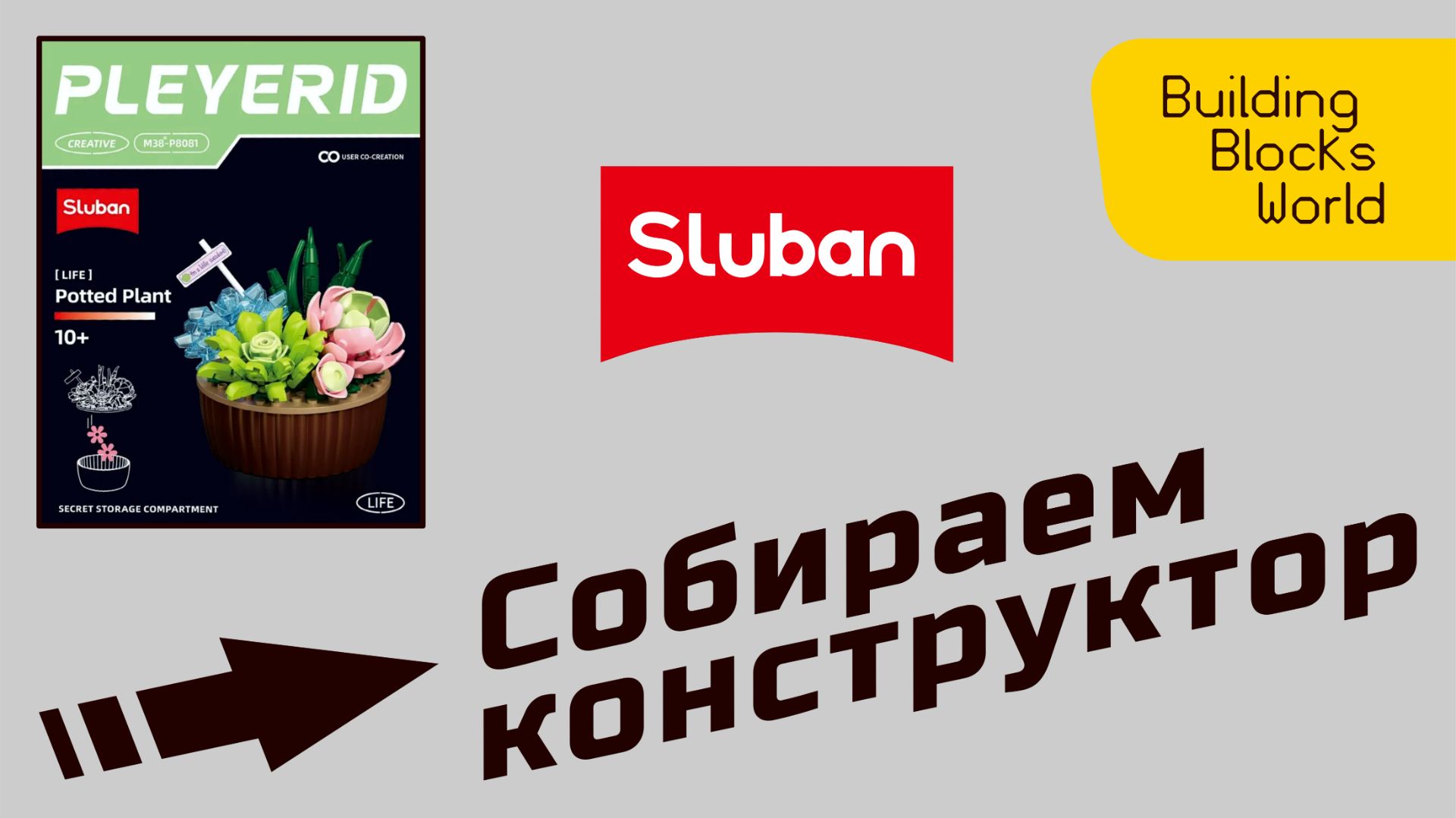 Сборка конструктора "Sluban" серия "PLEYERID" (M38-P8081) Potted plant (Суккуленты)