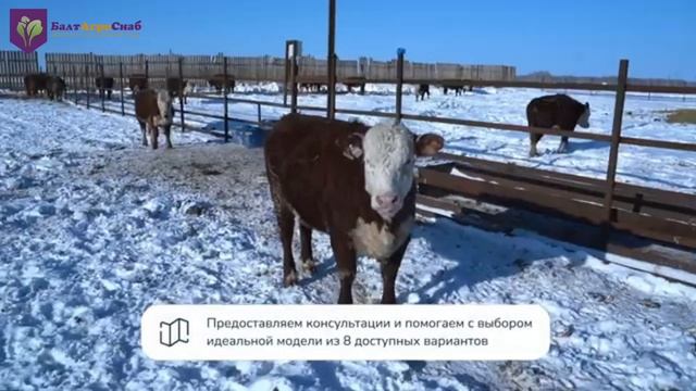 Поилки шаровые с подогревом