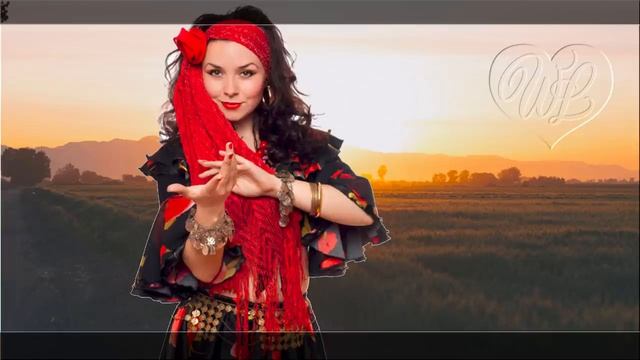 Песни цыганские 10 шт