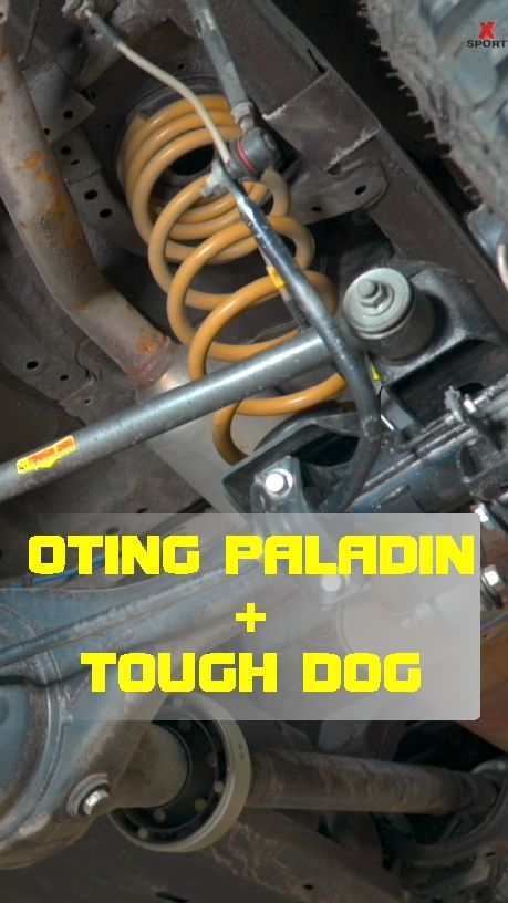 Oting Paladin + Tough Dog