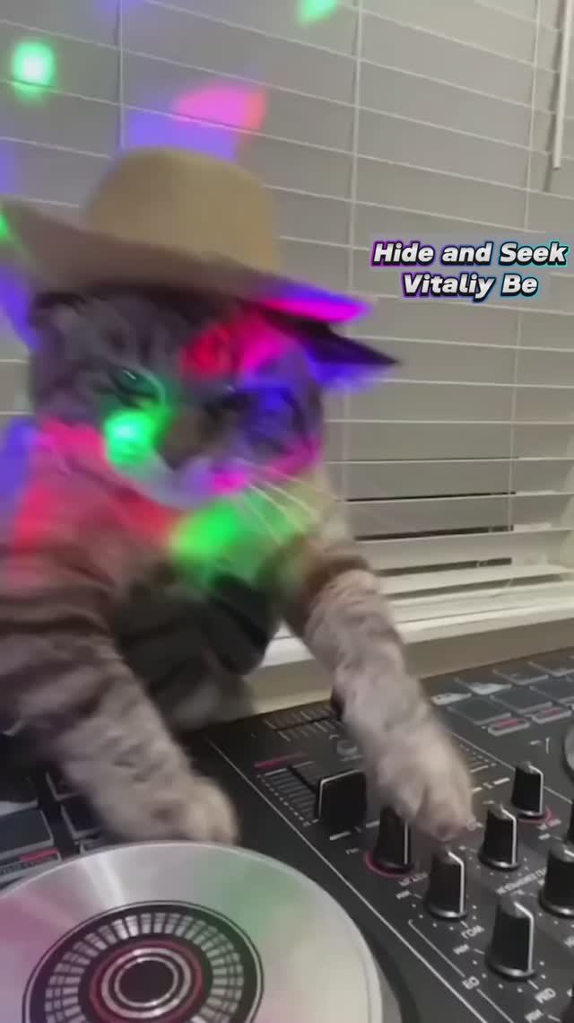 Vitaliy Be - Hide and Seek