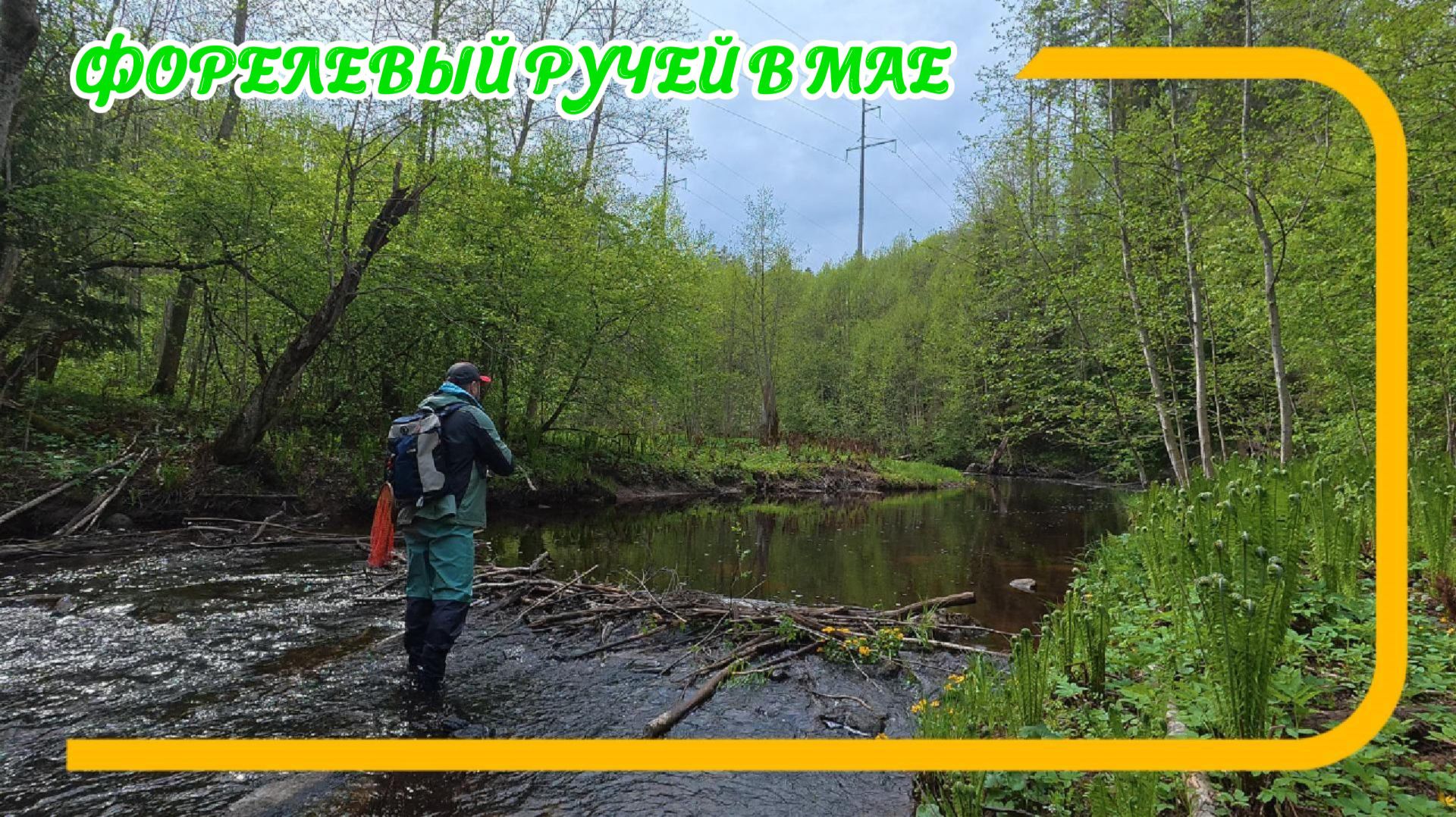 Форелевый ручей в мае. Обновки для ходовой рыбалки в деле