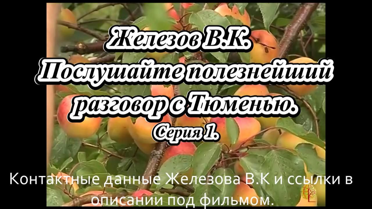 Железов В.К.  Послушайте полезнейший разговор с Тюменью. Серия 1.