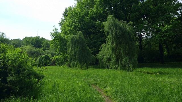 Релакс - природа