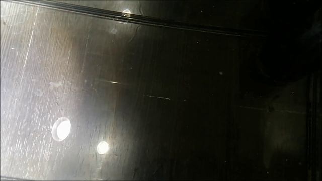 Отнерестились Анциструсы L-393 Мадре де Диос часть 3