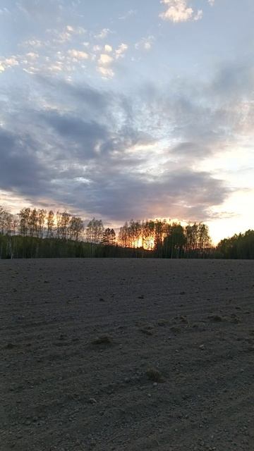 Закаты #shorts #закаты #metaldetecting #красотаприроды #другаяжизнь