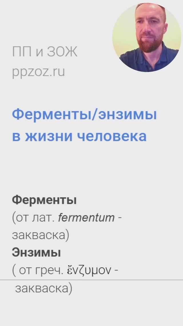 Ферменты энзимы в жизни человека