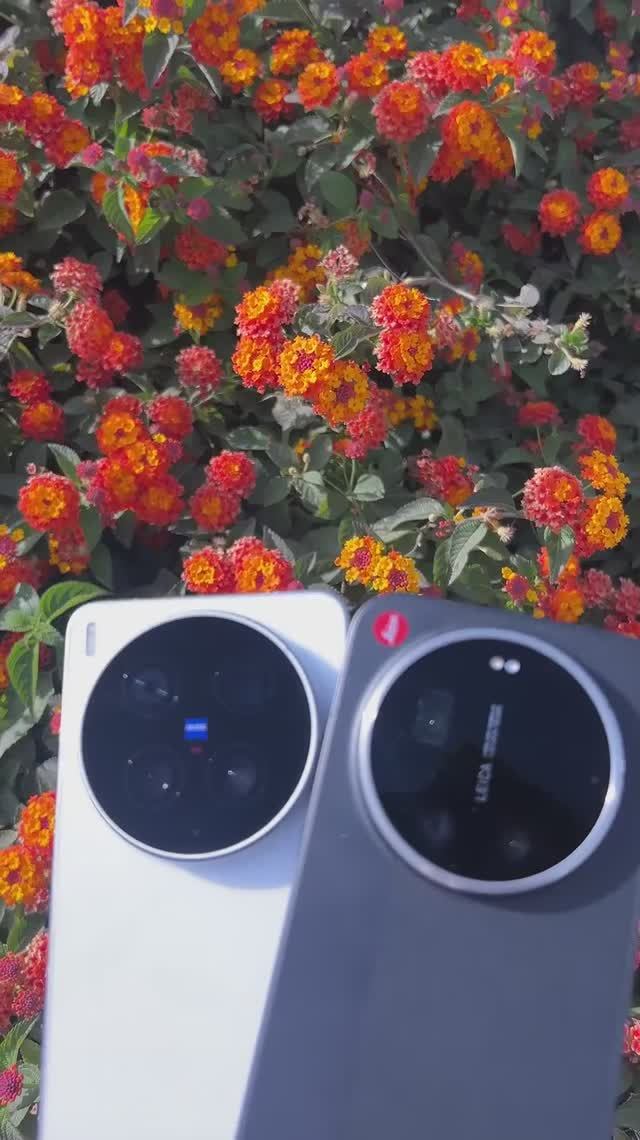Vivo x300 Ultra vs Xiaomi 17 Ultra МАКРО ЗУМ ТЕСТ! 🌺🔍