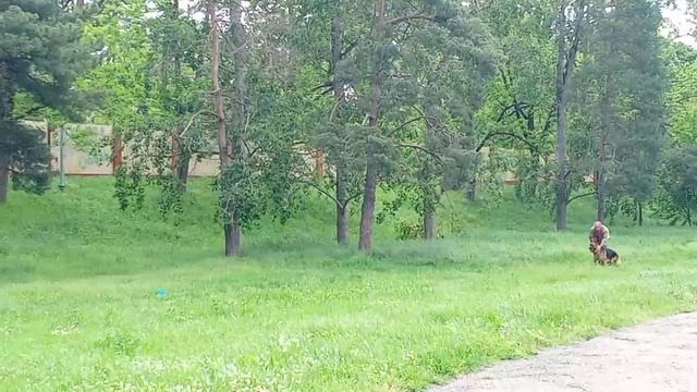 1.  выражено/перв UVE V. HAUS LICHER (Grimm della Valcuvia – Ada v. Zisawinkel)