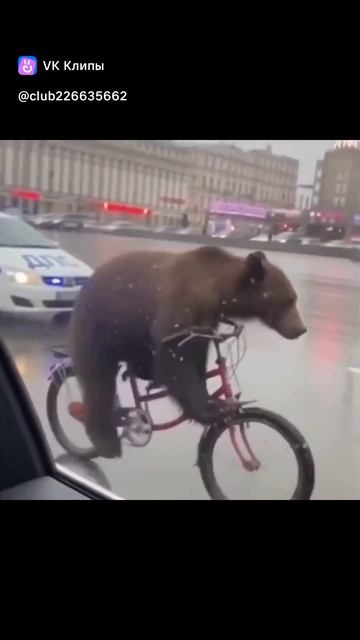vkclips_20260522100935