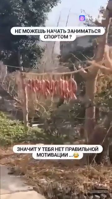 vkclips_20260522073634