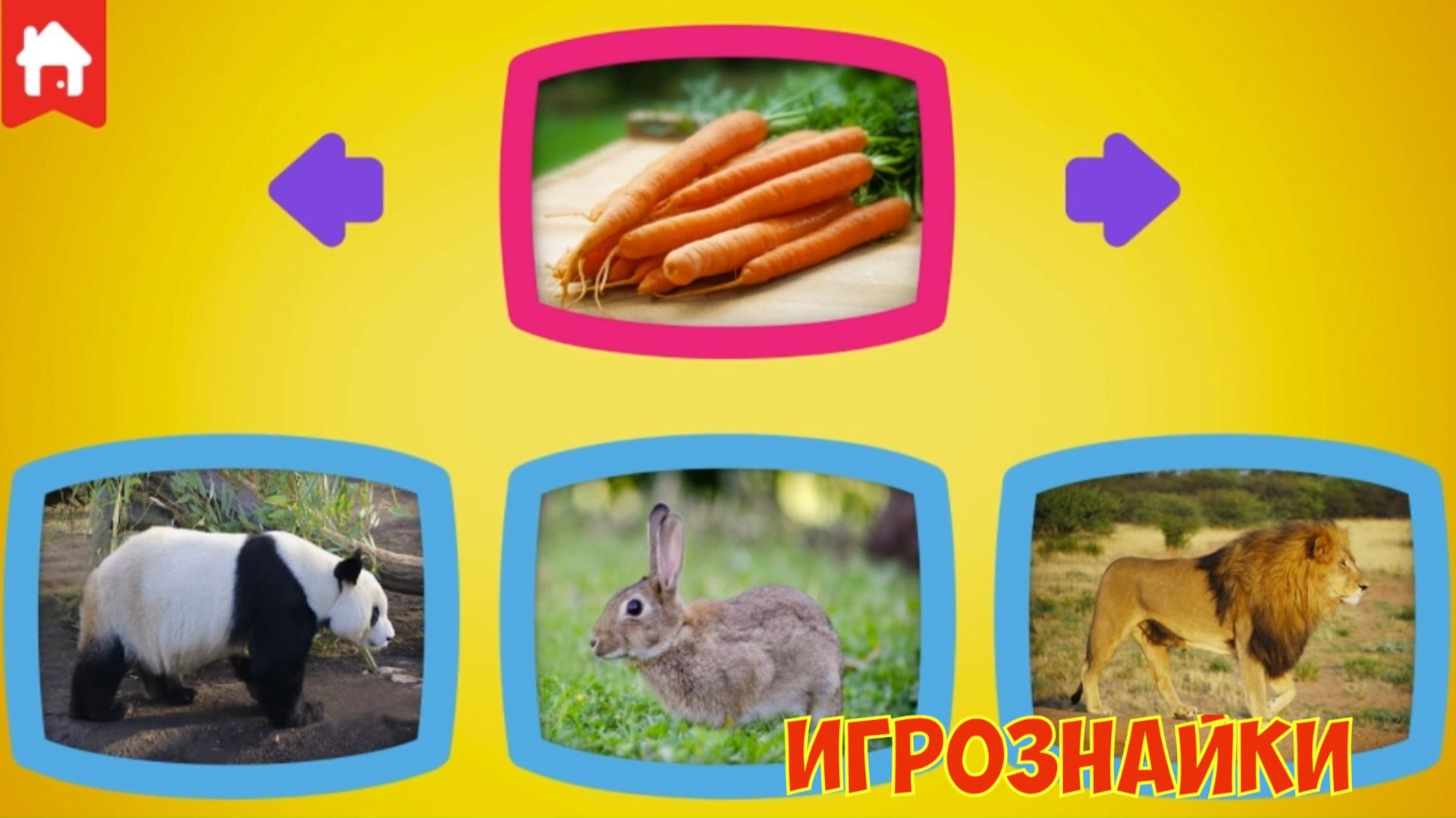 Сборник развивающих мини игр для детей.